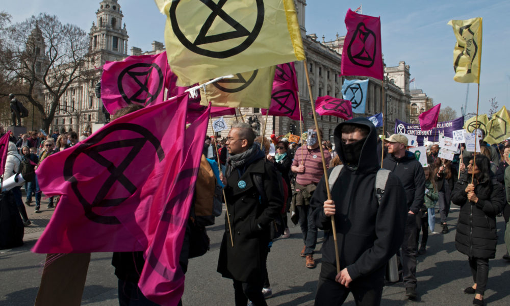 Karl Nesh – Shutterstock.com small